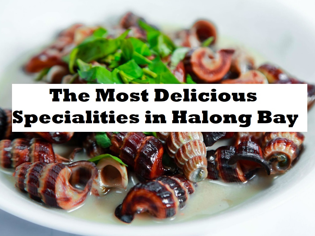 What to eat and Travel Tips (Part 2): Top 10 Most Favor Dishes in ...